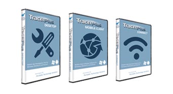 Robust Information Systems