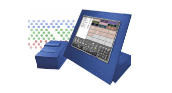 Robust Information Systems